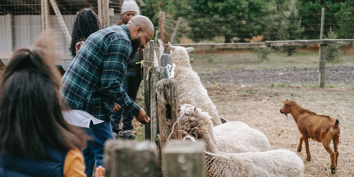 12 Farm Stays for a Unique Family Vacation - Motherly