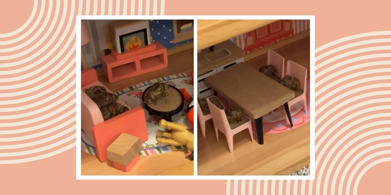 RhoGAM (RhIg) - Definition & Explanation for Mothers